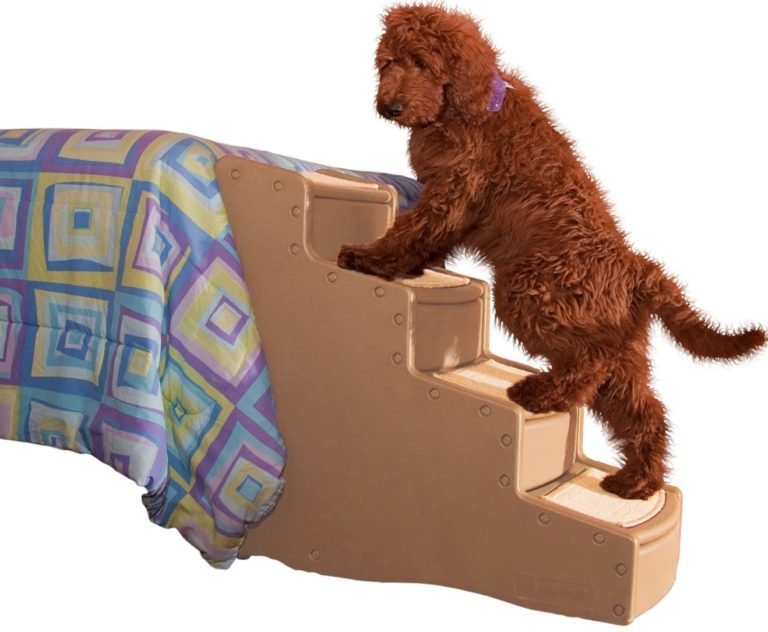 Top 10 Best Dog Stairs For Bed Reviews - How Dog Care
