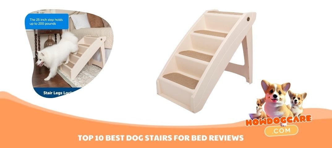 Top 10 Best Dog Stairs For Bed Reviews - How Dog Care