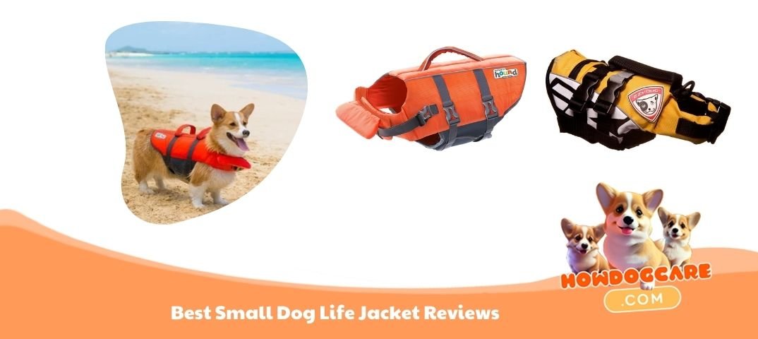 Best Small Dog Life Jacket Reviews - How Dog Care