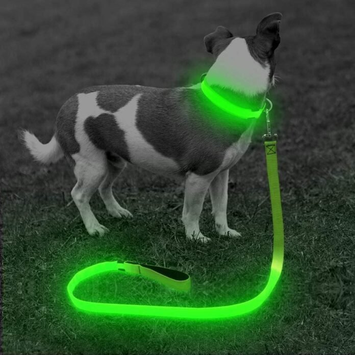 Top 10 Best Light Up Dog Leash Reviews - How Dog Care