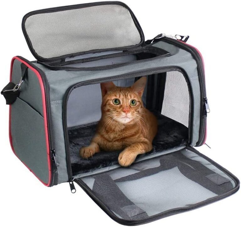 Top 10 Best Travel Kennel for Small Dogs Reviews