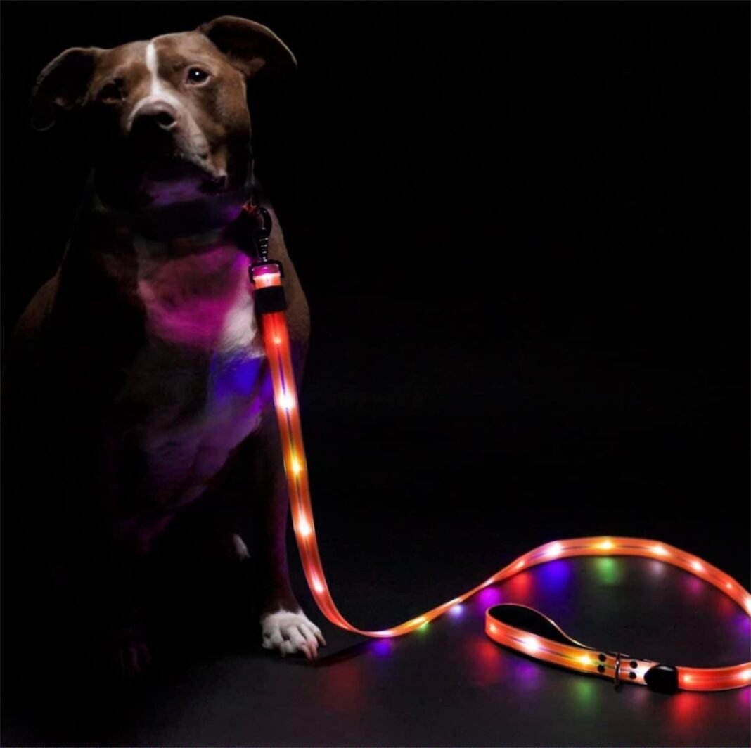 Top 10 Best Light Up Dog Leash Reviews - How Dog Care