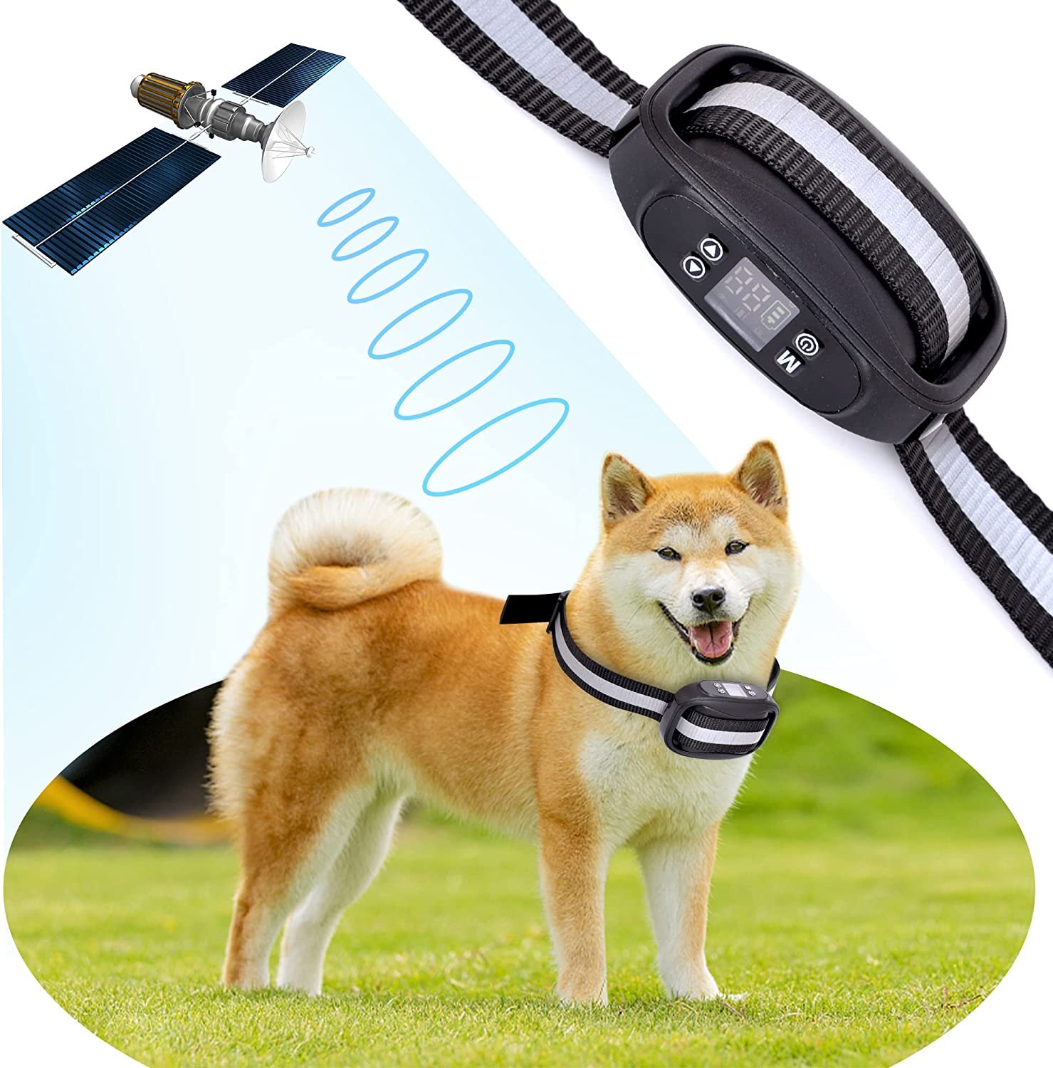 Top 10 Best Wireless Dog Fence Reviews - How Dog Care