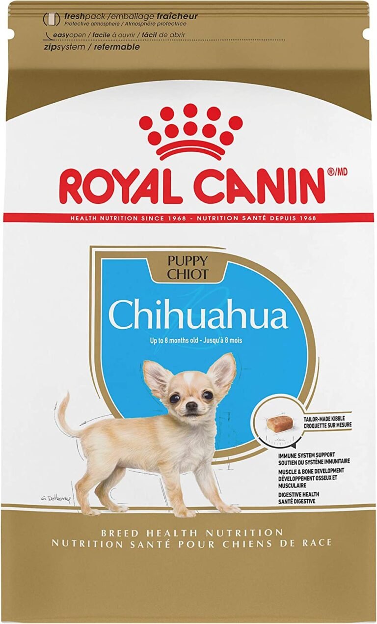 Top 5 Best Chihuahua Dog Food Reviews - How Dog Care
