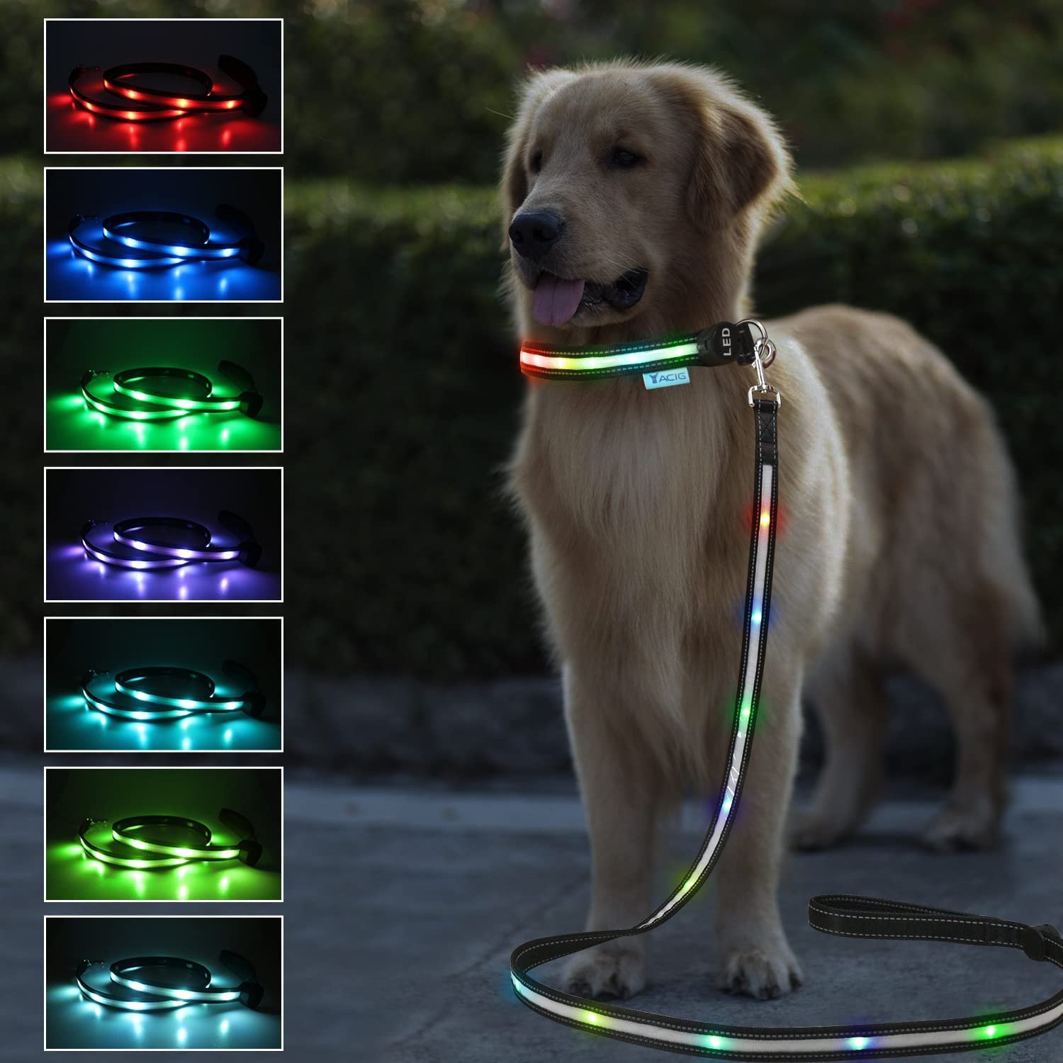 Top 10 Best Light Up Dog Leash Reviews - How Dog Care