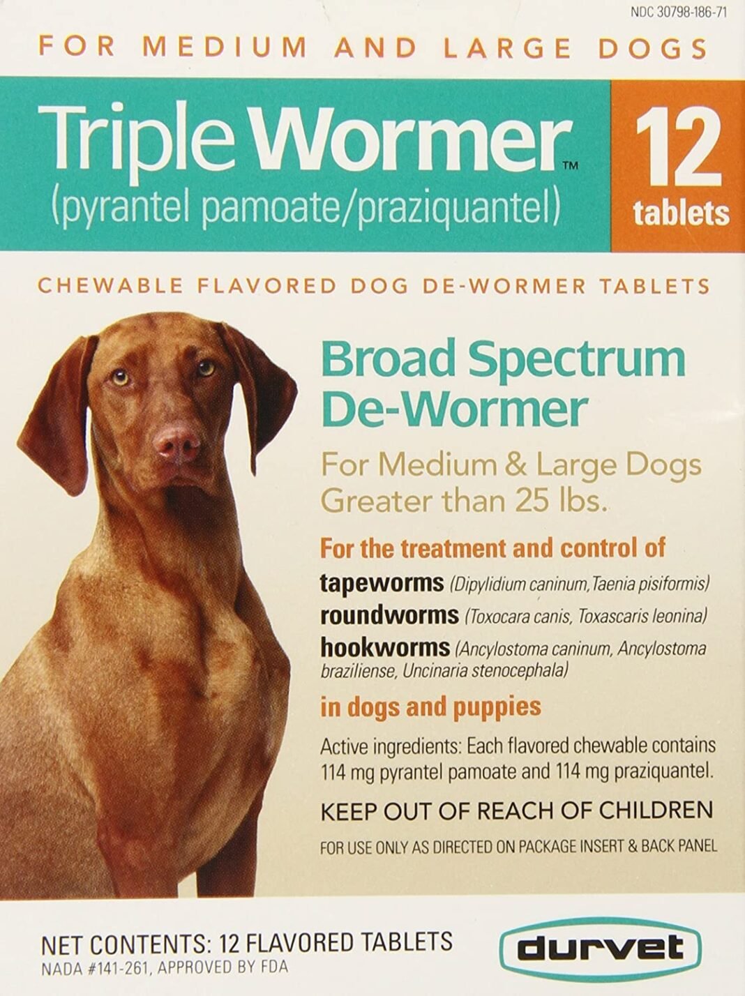 10 Best Dog Dewormers for Effective Parasite Control