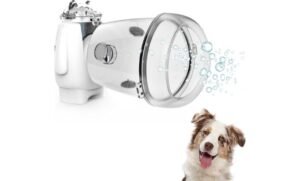 Top 10 Best Nebulizer Machines for Dogs Reviews